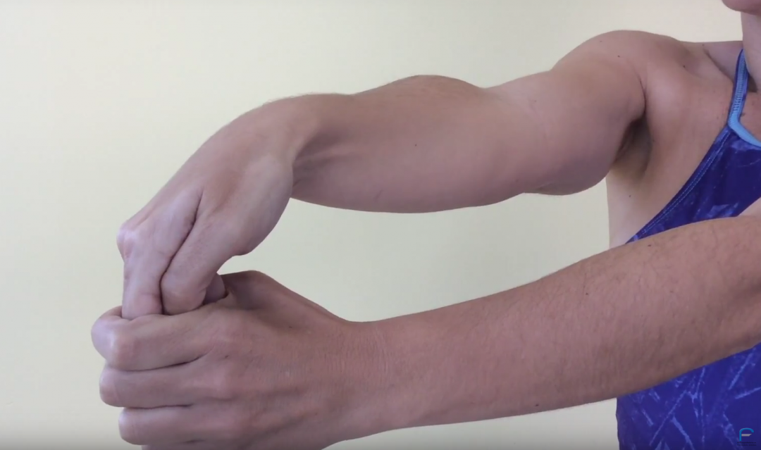 Estiramiento del músculo supinador largo 2 | Enrique García Ballesteros